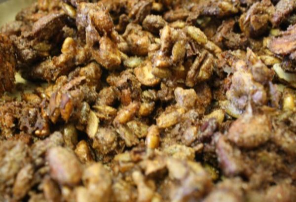 Roasted Maple Nuts ~ Natural Oil Mom