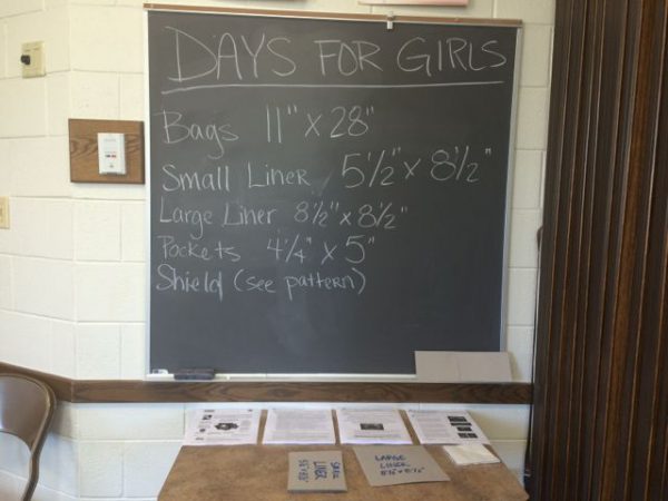 How I Did Days For Girls ~ Natural Oil Mom